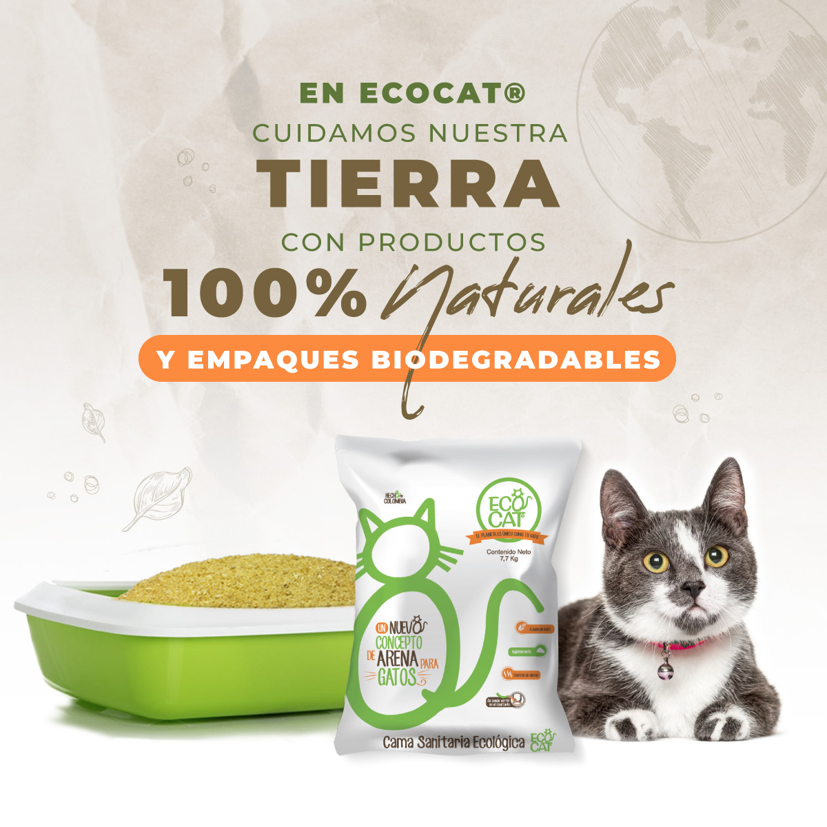 Fábrica de Arena y alimentos para gatos | ECOCAT® ♻