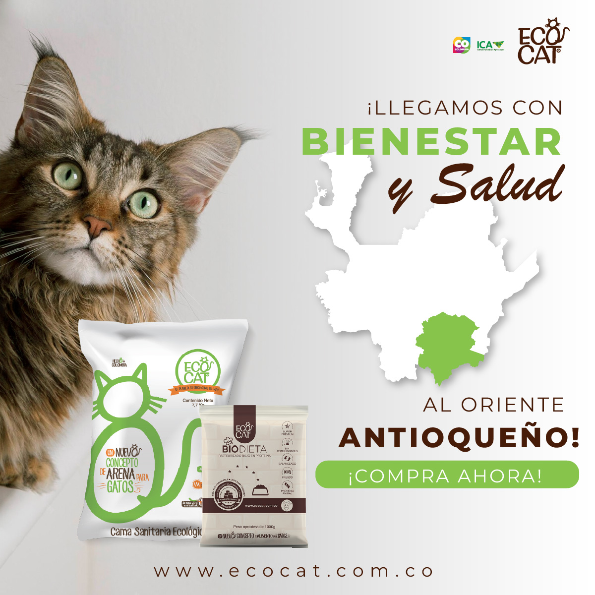 Arena para gatos a base de maíz y 100% ecológica | ECOCAT ♻