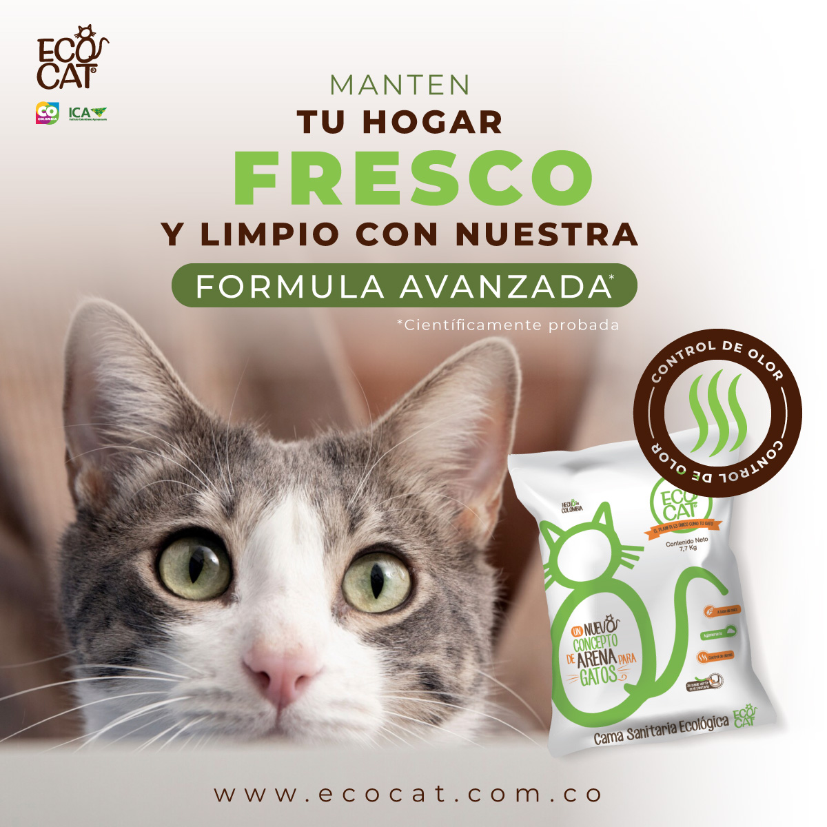 ¡Descubre los Beneficios de la Arena de Maíz Ecocat para Gatos! - Ecocat