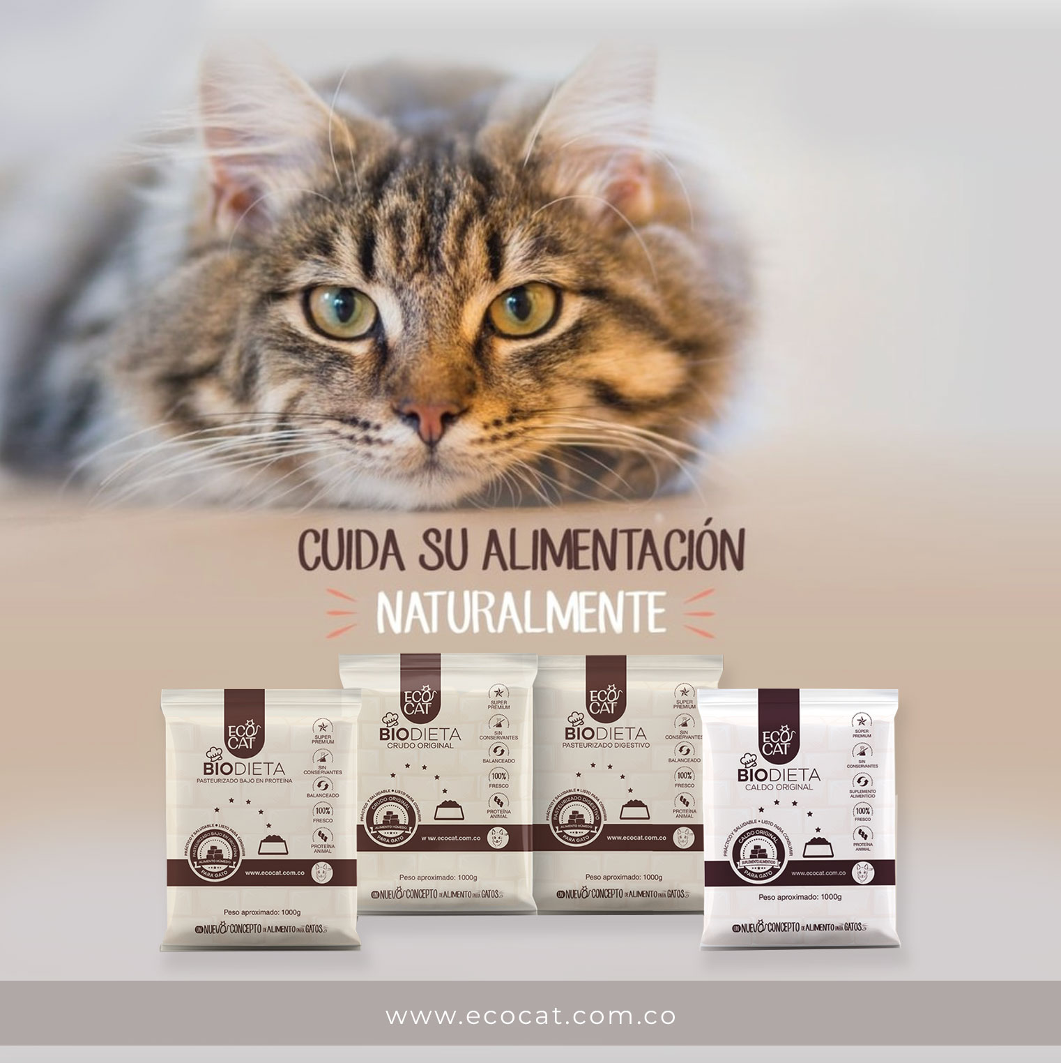 Alimentación Natural para Gatos: La Revolución de Ecocat - Ecocat